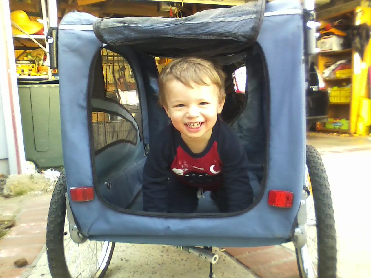 Baby the Mastiff – Another Amazing Tripawds Three Legged Dog Blog